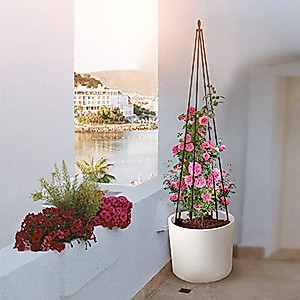 Lalahoni 2 Pack Garden Trellis for Climbing Plants Outdoor Indoor Pot | 67inch Tall Plants Trellis Support for Climbing Vines Vegetables Plants | Garden Obelisk Trellis, Lightweight, Black