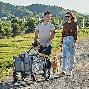 Busy Bee Foldable Wagon Stroller for 2 Kids, Push Pull Collapsible Kids Wagon with Adjustable Handle Bar, Removable Canopy, 5-Point Harness, Shock-Absorbing Wheels, Grey