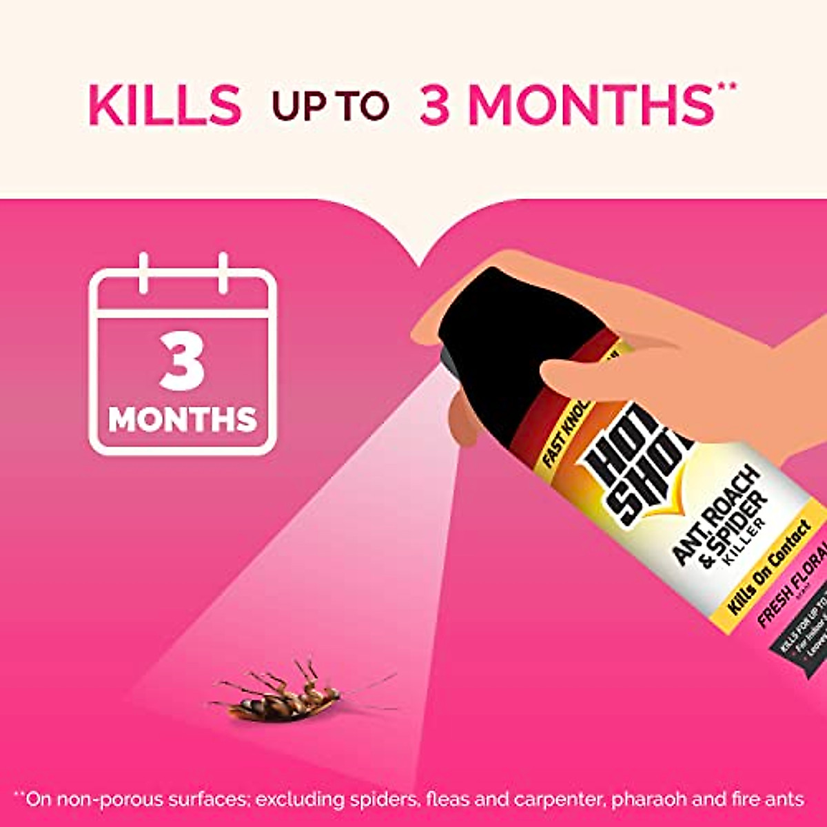 Hot Shot Ant, Roach And Spider Killer 2-17.5 Ounce Aerosol Cans, Fresh Floral Scent, Twin Pack