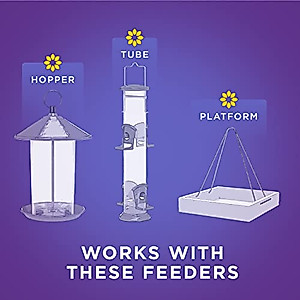 Audubon Park No Waste Blend Wild Bird Food, Premium Shell Free and No Mess Bird Seed for Outside Feeders, 5-Pound Bag