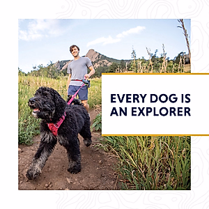 Ruffwear, Just-a-Cinch Dog Leash, 2-in-1 Lead Collar Combination, Aurora Teal