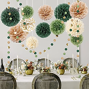 AOBKIAT Wedding Party Decorations Set, 15PCS Green Tissue Paper Pom Poms, Dots Paper Garland String Hanging Backdrop for Engagement, Green Boho Wedding, Baby Shower