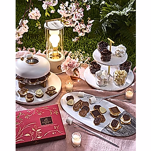 Godiva Chocolatier Assorted Chocolate Box of Biscuits, 20 pc., 5.8 ounces