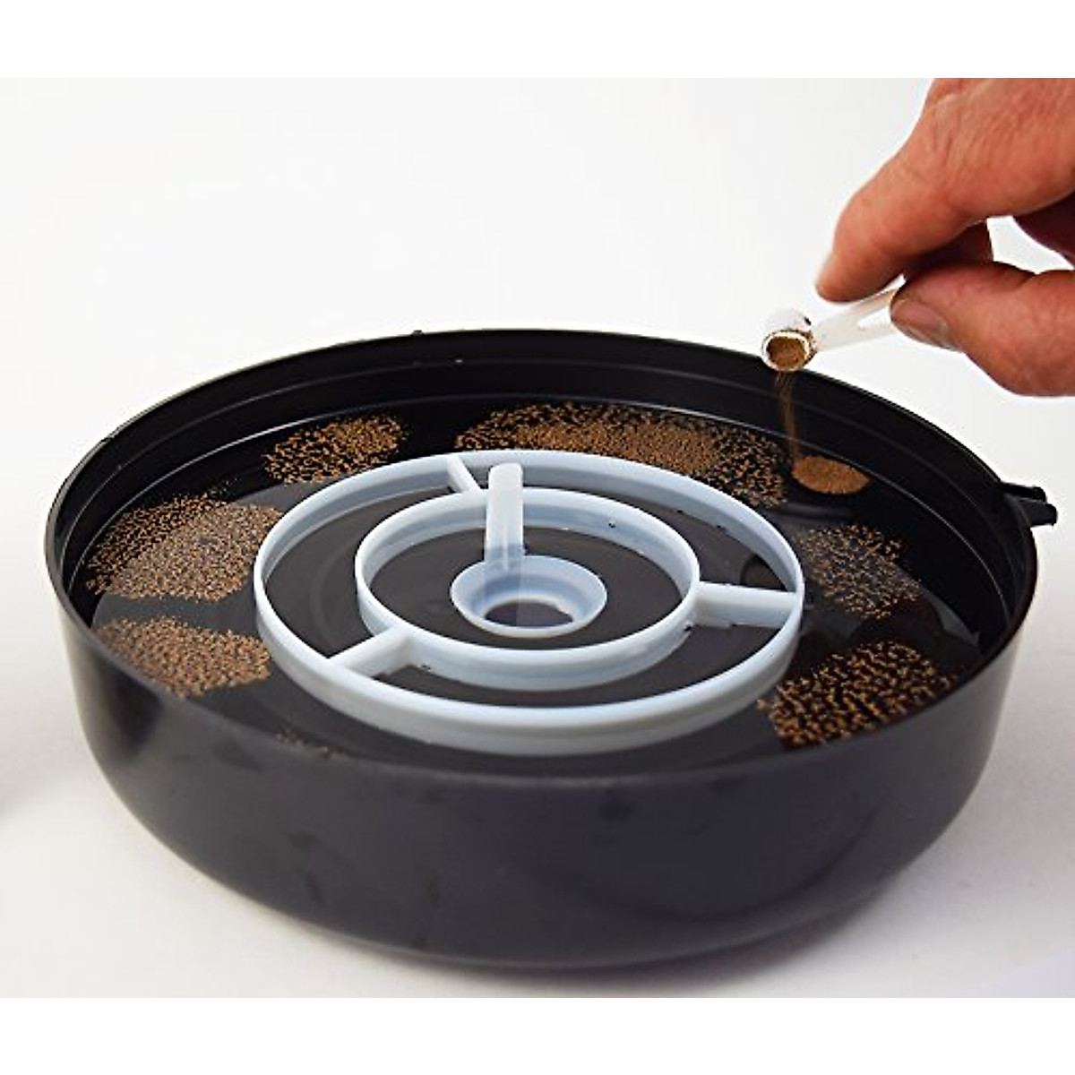 Brine Shrimp Hatchery Dish (Eggs Sold Separately.)