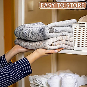 2x3 Rug Non Slip Machine Washable Rug 2x3 Vintage Rug Boho Rug Small Rugs for Bedroom Kitchen Entryway Persian Abstract Oriental Accent Area Rug Retro