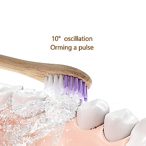 Circle Elephant Biodegradable Electric Natural Bamboo Sonic Toothbrushes Have Rechargeable&Replaceable Bamboo Toothbrush Heads, Threaded BPA-Free Soft Bristles in Color. Perfect Trendy Giftset.