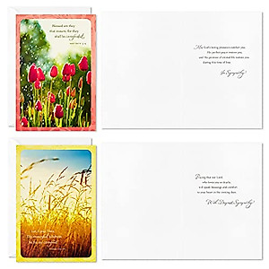 Dayspring Assorted Religious Sympathy Cards (Christian Prayers, 16 Cards and Envelopes)