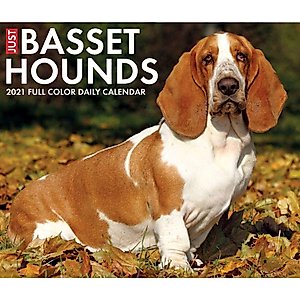 Just Basset Hounds 2021 Box Calendar (Dog Breed Calendar)