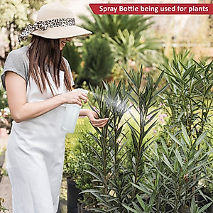 SPRAYZ Large 16oz Spray Bottles For Cleaning and Gardening, Plants, Water, Durable Trigger Sprayer, Refillable, Natural HDPE Plastic Bottle (2-Pack)