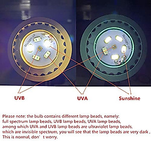 UVA UVB Reptile Light, UVB 10.0 LED Bulb, UVA UVB for Bearded Dragon, Full Spectrum Light Bulb for Lizards, Turtles, Spiders etc.
