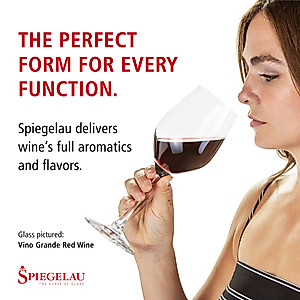 Spiegelau Vino Grande Red Wine Glasses (Set of 4), Clear