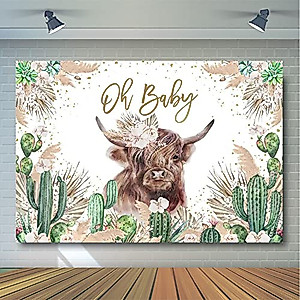 Avezano Oh Baby Backdrop Highland Cow Baby Shower Party Decorations for Boys Girls Mexican Cactus Pampas Grass Floral Baby Shower Photography Background Supplies (7x5ft)