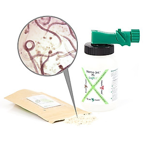 BioLogic's Scanmask Beneficial Nematodes, Steinernema feltiae Sf Nematodes for Natural Insect Pest Control (50 Million with Applicator)