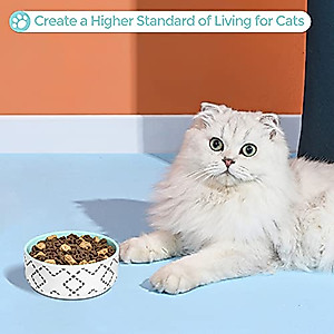 MSBC Ceramic Cat Bowls(13oz/390ml), Cute Cat Food and Water Feeder Set, Dog Cat Basic Bowl, Small Pet Feeding Dishes for Cat, Kitten, Small Dog, Whisker Stress Free, Dishwasher Safe, Set of 2, Blue