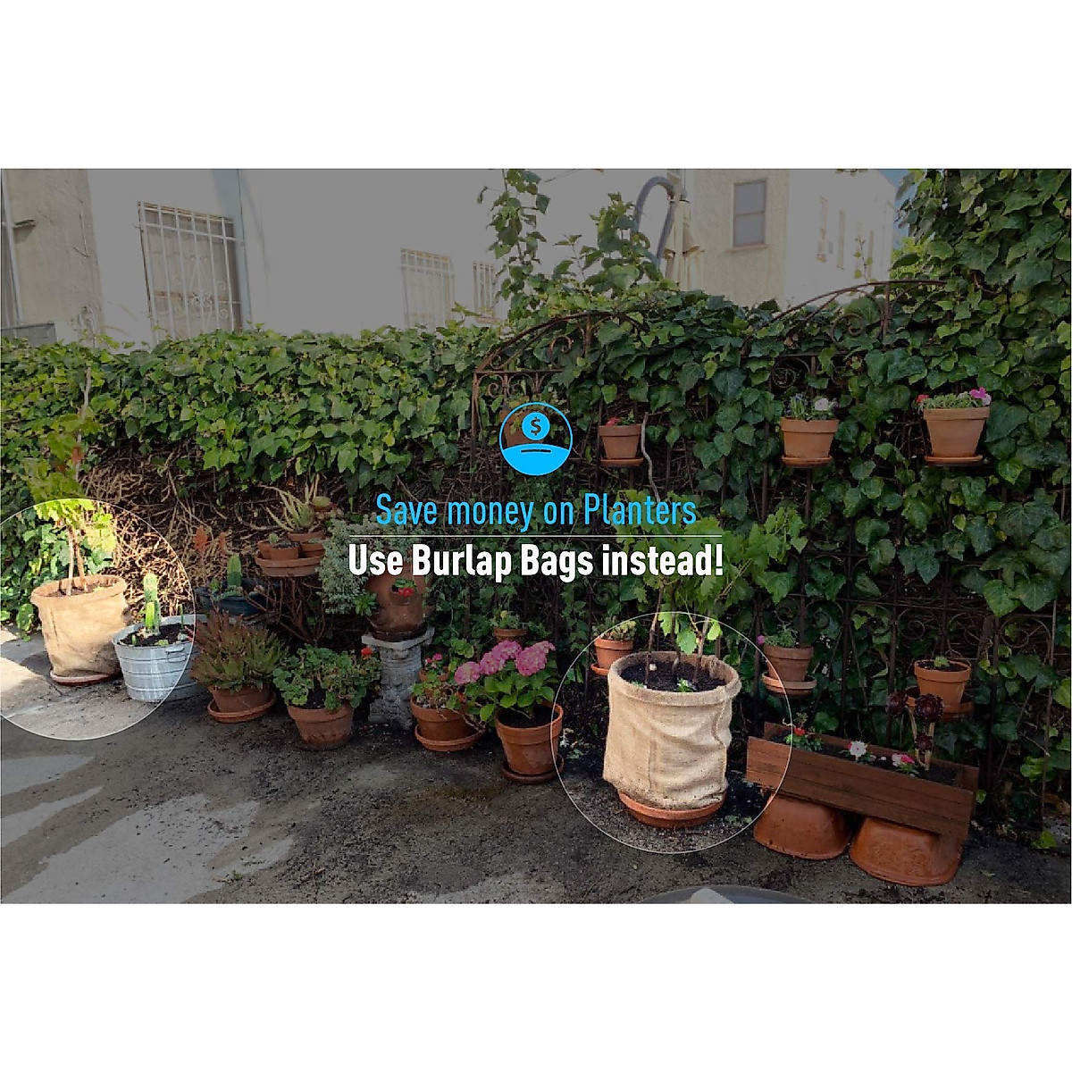 Burlap Bags for Vegetables & Gardening, 22" X 36"- Burlap Sacks Perfect for Kids - Plant Covers - Holds Up to 50lbs - Food Grade (Pack of 10)