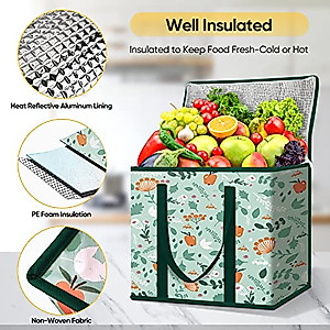 BALEINE 2Pk Insulated Reusable Grocery Bags, Collapsible Cooler Bag for Groceries, Heavy Duty Large Insulated Bag (16''x9''x13'', Spring Stroll)