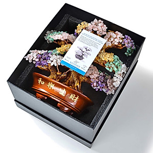 Multicolor Bonsai Tree Pair