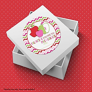Main Squeeze Apple-Themed Valentine Party Favor Sticker Labels, 40 2" Party Circle Stickers by AmandaCreation, Great for Classroom Valentines, Envelope Seals, Gifts & Treats
