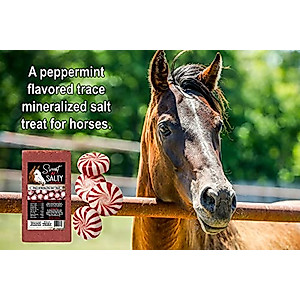 Kalmbach Feeds Sweet N Salty Peppermint Flavored Salt Treat Brick for Horses, 4 lb