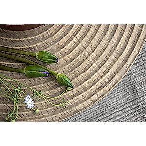 COZAYH 2-Piece Modern Farmhouse Living Room Coffee Table Set, Nesting Table Round Natural Finish with Handcrafted Wood Ring Motif