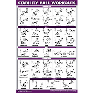 11 Pack - Exercise Poster Set: Dumbbell, Suspension, Kettlebell, Resistance Bands, Stretching, Bodyweight, Barbell, Yoga, Exercise Ball, Muscular System, Medicine Ball (LAMINATED, 18" x 24")