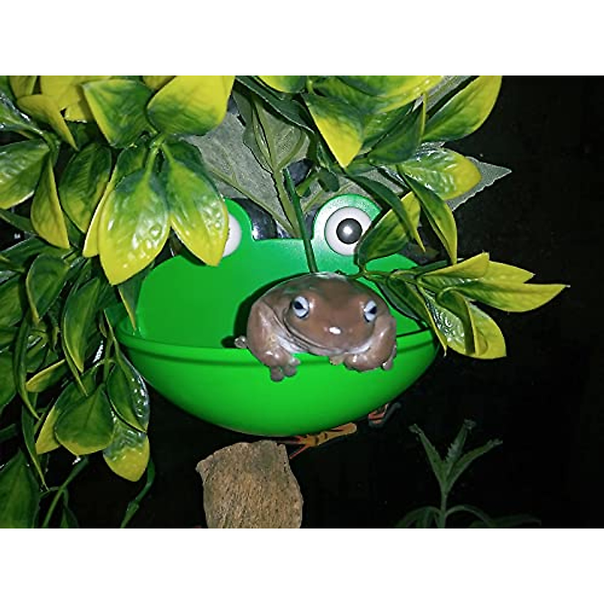 2 Pieces Frog Habitat with Dual Suction Cups Cute Fish Tank for Amphibian Aquatic Toad Frog Tadpole Tree Frog Small Aquatic Animals