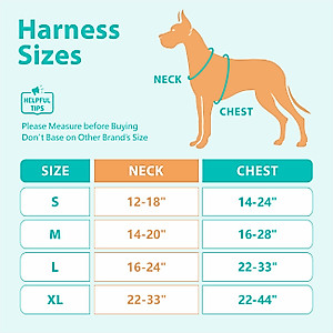 PoyPet No Pull Dog Harness, No Choke Front Clip Reflective Dog Vest with Soft Padded Vertical Handle, 3 Leash Attachments for Small Medium Large Dogs (Tumalo Teal,M)