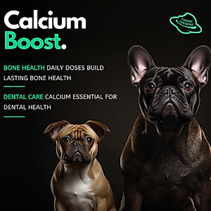 COSMIC CHEWERS | Yak Cheese Dog Food Topper | Boost Dog Agility Training & Muscle Recovery | Protein Powder for Dogs | Calcium-Rich 9oz Saving Pack