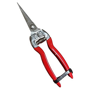 Garden Guru Straight Stainless Steel Pruner Pruning Shears Clippers Snips – Sharp Bonsai Plant Trimming Scissors – Straight Blade Garden Scissors Tool – Great for Roses Flowers Herbs Fruits
