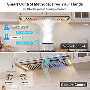 BRANO Range Hood Insert 30 Inch, 900 CFM Smart Voice/Gesture/Touch Control, 4 Speed Exhaust Fan, Stainless Steel Kitchen Hood with Charcoal Filter, Ducted/Ductless Convertible