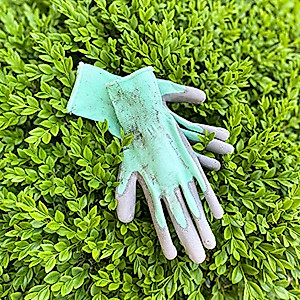 Wells Lamont 3 Pair Pack Women’s Gardening Gloves | PU Coated Grip Work Gloves| Each Pack Includes Pink, Green, Purple | Medium (413MF)