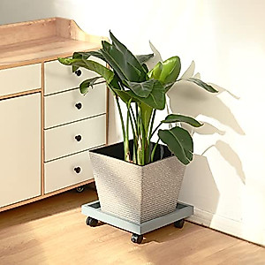 4 Packs 14 inch Square Plant Caddy with Wheels Rolling Plant Stand Potted Plant Mover Heavy Duty Plant Dolly with Casters for Indoor and Outdoor Large Plant Roller Base Rolling Cart, Grey