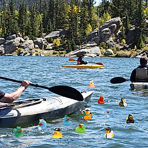 Creative Rubber Ducks, 12 Pack Assorted Rubber Ducks Bath Toys Funny Rubber Duckies for Kids Duck Toy Floating Bathtub Toys for Kids Baby Shower Party Favors Christmas Collection (12 Styles)