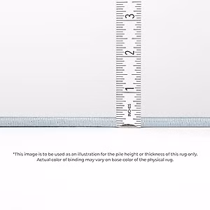 Addison Rugs Chantille ACN591 Beige 10' x 14' Indoor Outdoor Area Rug, Easy Clean, Machine Washable, Non Shedding, Bedroom, Living Room, Dining Room, Kitchen, Patio Rug