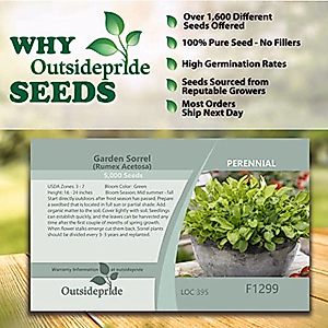 Outsidepride Garden Sorrel Culinary Herb Garden Plant for Soups & Salads - 5000 Seeds