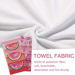 Seliem Summer Life is Sweet Watermelon Kitchen Dish Towel Set of 2, Red Pink Stripes Hand Towel Drying Baking Cooking Cloth, Spring Seasonal Farmhouse Home Kitchen Decor 18x26 Inch