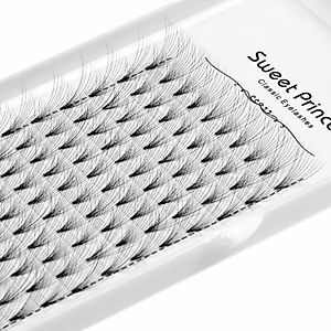 120Pcs 10Roots Individual Cluster Fake False Eye lashes Thickness 0.07mm D Curl Volume Premade Fans Eyelashes Extension 8-16mm to Choose (13mm)