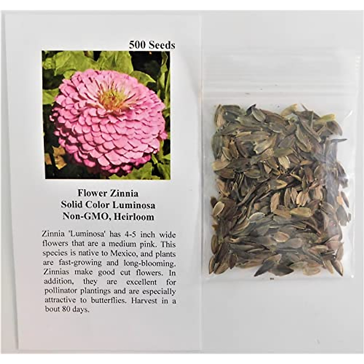 David's Garden Seeds Flower Zinnia Solid Color Luminosa FBA-1164 (Pink) 200 Non-GMO, Heirloom Seeds