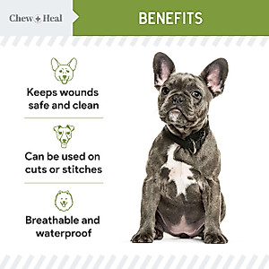 Pet Liquid Bandage for Dogs - 4 oz Spray with Aloe - Wounds Care for Dogs Including Cuts, Scrapes, and Stitches - Breathable and Waterproof