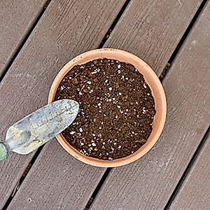 Anthurium Plant Potting Soil Mix (4 Quarts), Indoor Houseplant Custom Blend for Flowering Anthuriums