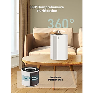 WELOV P100 Mini/P100 Mini Pro Air Purifier Replacement Filter, H13 True HEPA High-Efficiency Activated Carbon Filter for Pet Hair Dander Wildfire Smoke Pollen Dust Mite Kitchen Smells Odor