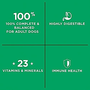 Purina Dog Chow Complete With Real Chicken Adult Dry Dog Food - 18.5 Lb. Bag