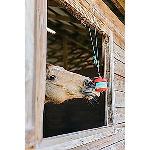 Horsemen's Pride Stall Snack Treat Holder & Refill for Horses; Apple Flavor