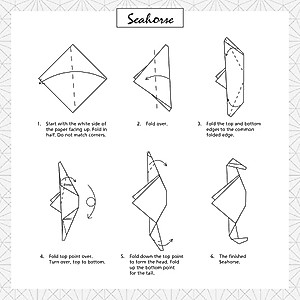 Origami Paper 500 sheets Succulents 6" (15 cm): Tuttle Origami Paper: Double-Sided Origami Sheets with 12 Different Photographs (Instructions for 6 Projects Included)