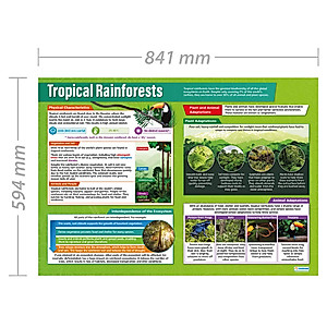 Daydream Education Tropical Rainforests | Geography Posters | Laminated Gloss Paper measuring 33” x 23.5” | Geography Classroom Posters | Education Charts
