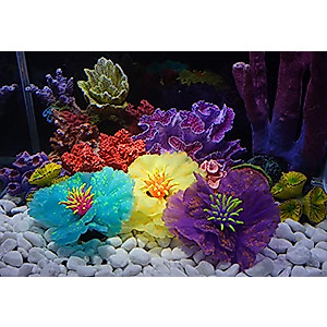 Danmu 1Pc of Polyresin Coral Ornaments, Aquarium Coral Decor for Fish Tank Aquarium Decoration 6 2/5" x 5 1/2" x 2 7/10"