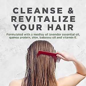 Avalon Organics Revitalizing Lavender Shampoo, For Smooth, Shiny, Touchably Soft Hair For Normal To Dry Hair, 32 Fluid Ounces