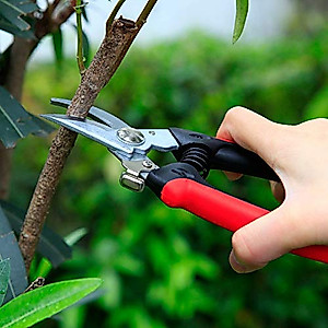 The Gardener's Friend Bypass Pruners for Small Hands, These Pruning Shears are Lightweight and Easy to Use. Ideal for Ladies and Men Gardeners with Small or Weak Hands Perfect Garden Gift