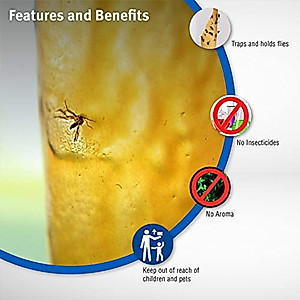 Raid Fly Ribbon, Fly Traps for Indoors and Outdoors, Bug Trap for Flying Insects, Pack of 10