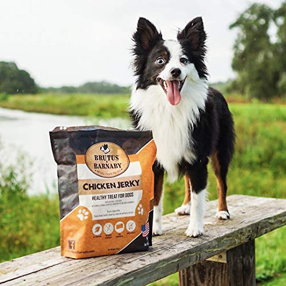 BRUTUS & BARNABY Chicken Jerky Dog Treats- Dehydrated, Crunchy USA Premium Fillets, Grain-Free, Preservative-Free, No Fillers. All Natural Chicken Strips are Great for Dogs and Cats- 32oz